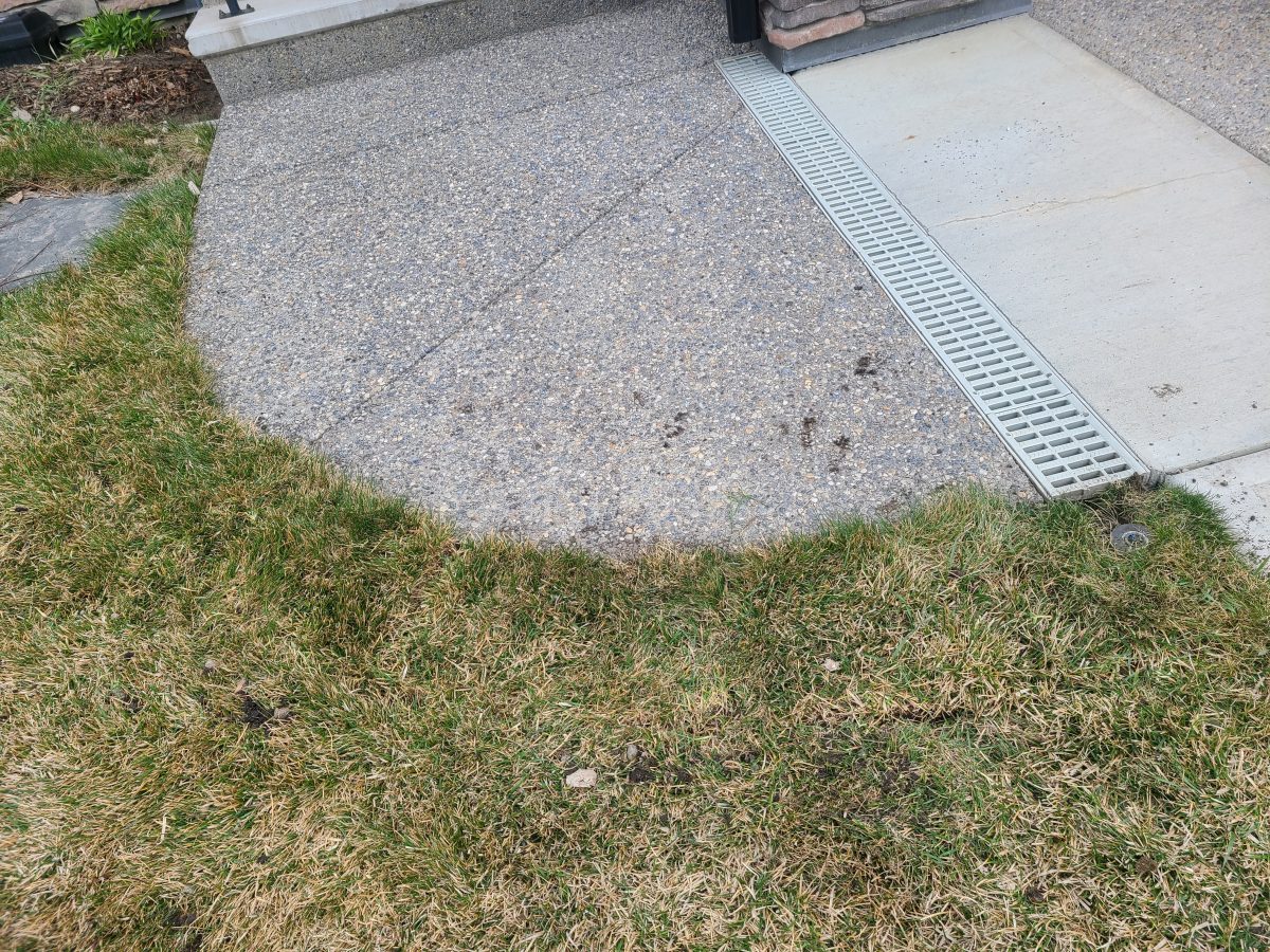 Say Goodbye to Voles: The Permanent Wire Mesh Solution